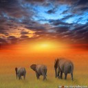 The Rider and the Elephant : Behavior Change through Stories